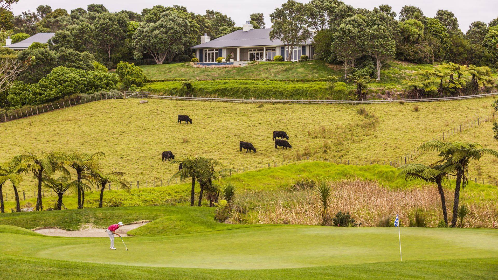 The Lodge at Kauri Cliffs New Zealand - Globotours.net